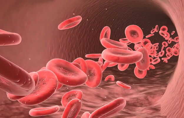 Normal Blood Level In Human Body In Hindi Normal Blood Level In Human Body In Hindi